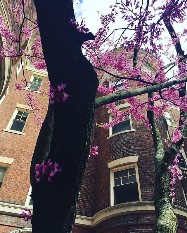 Harvard Graduate School of Education home