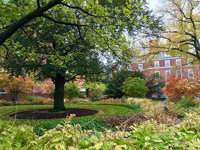 Harvard Graduate School of Education home