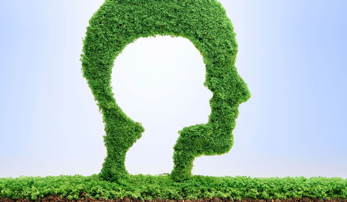 Leading the Learning on Human Development | Harvard Graduate School of ...