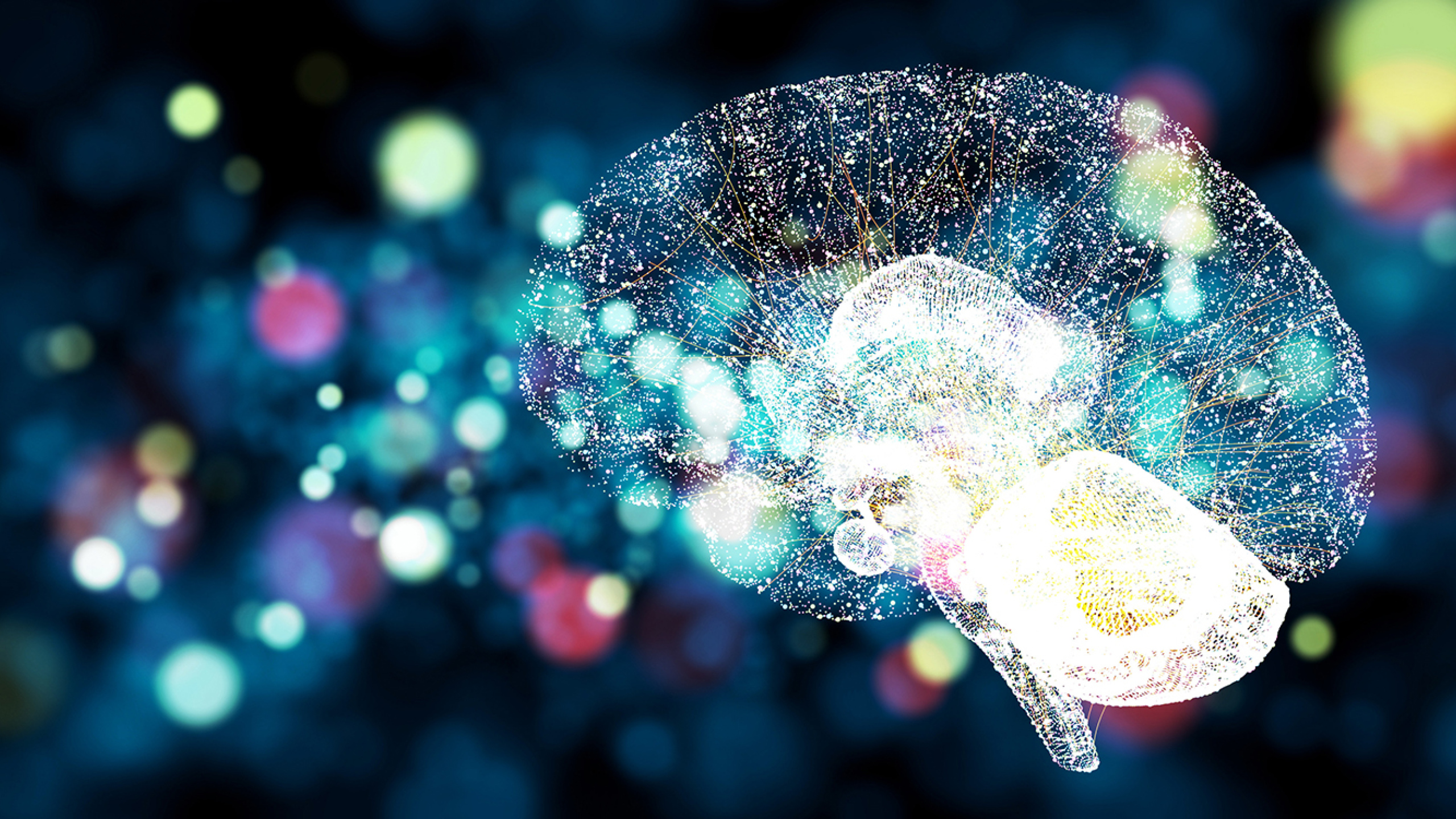 The Effect of Spanking on the Brain | Harvard Graduate School of Education