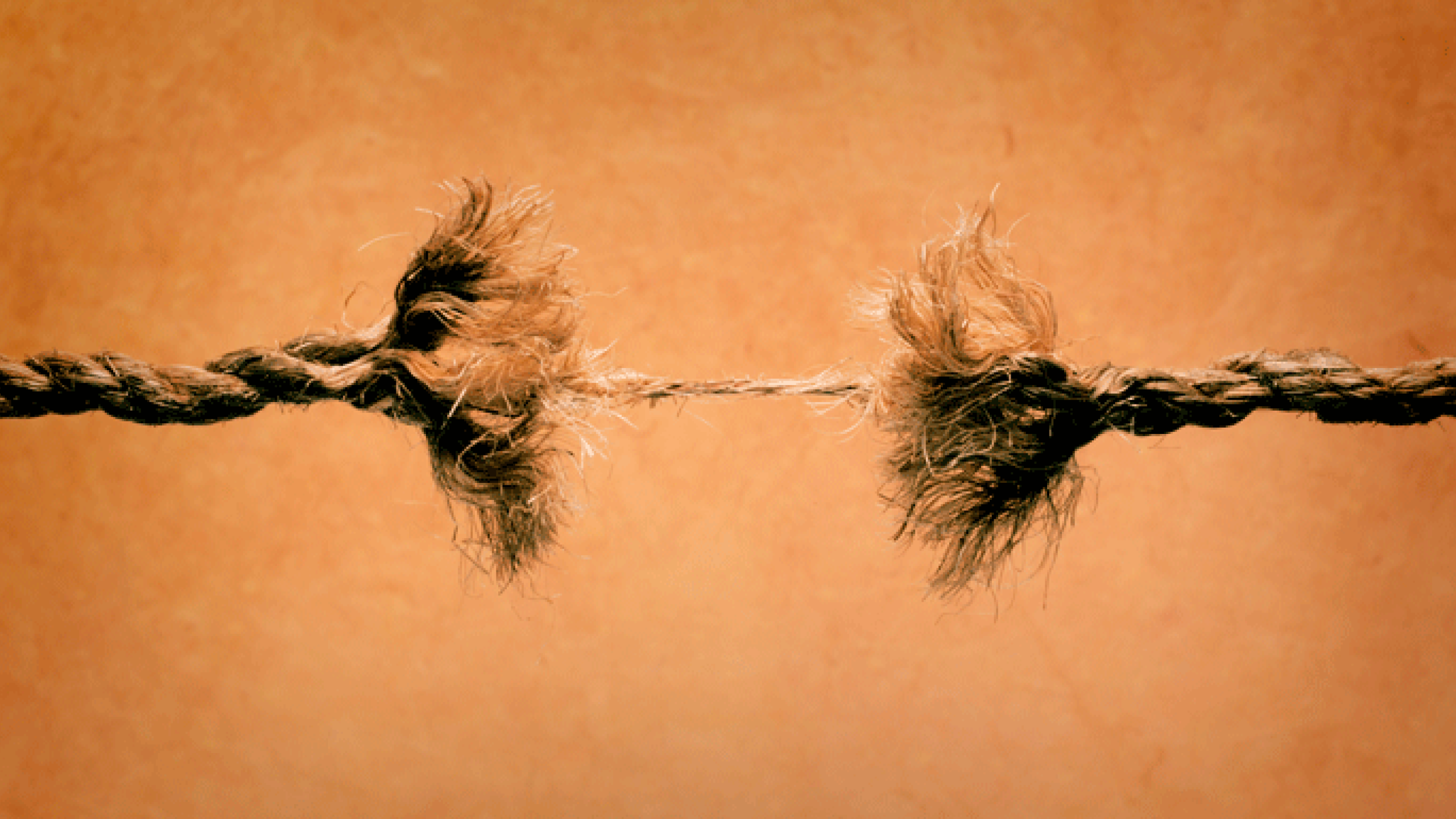 Hanging by a Thread? | Harvard Graduate School of Education