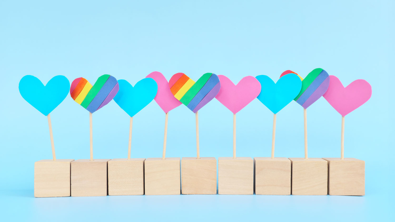 Creating Trans-Inclusive Schools | Harvard Graduate School of Education