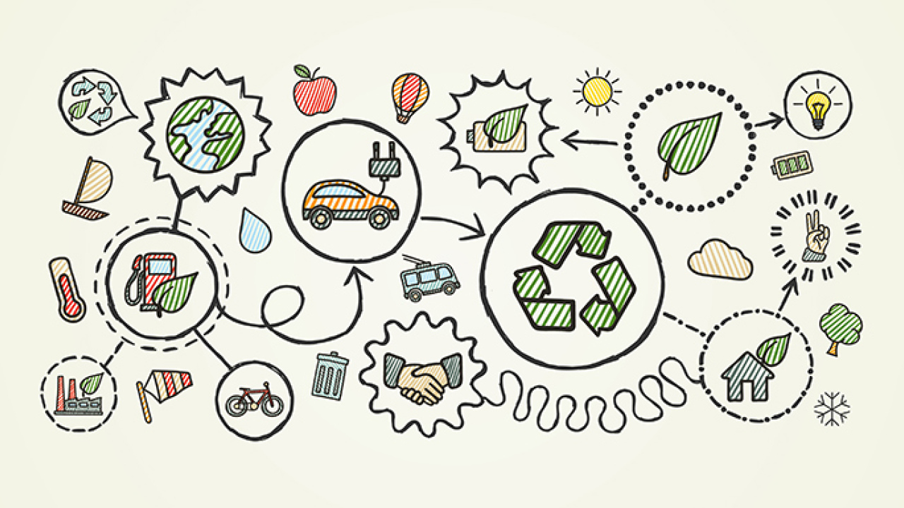 Teaching the Environment | Harvard Graduate School of Education