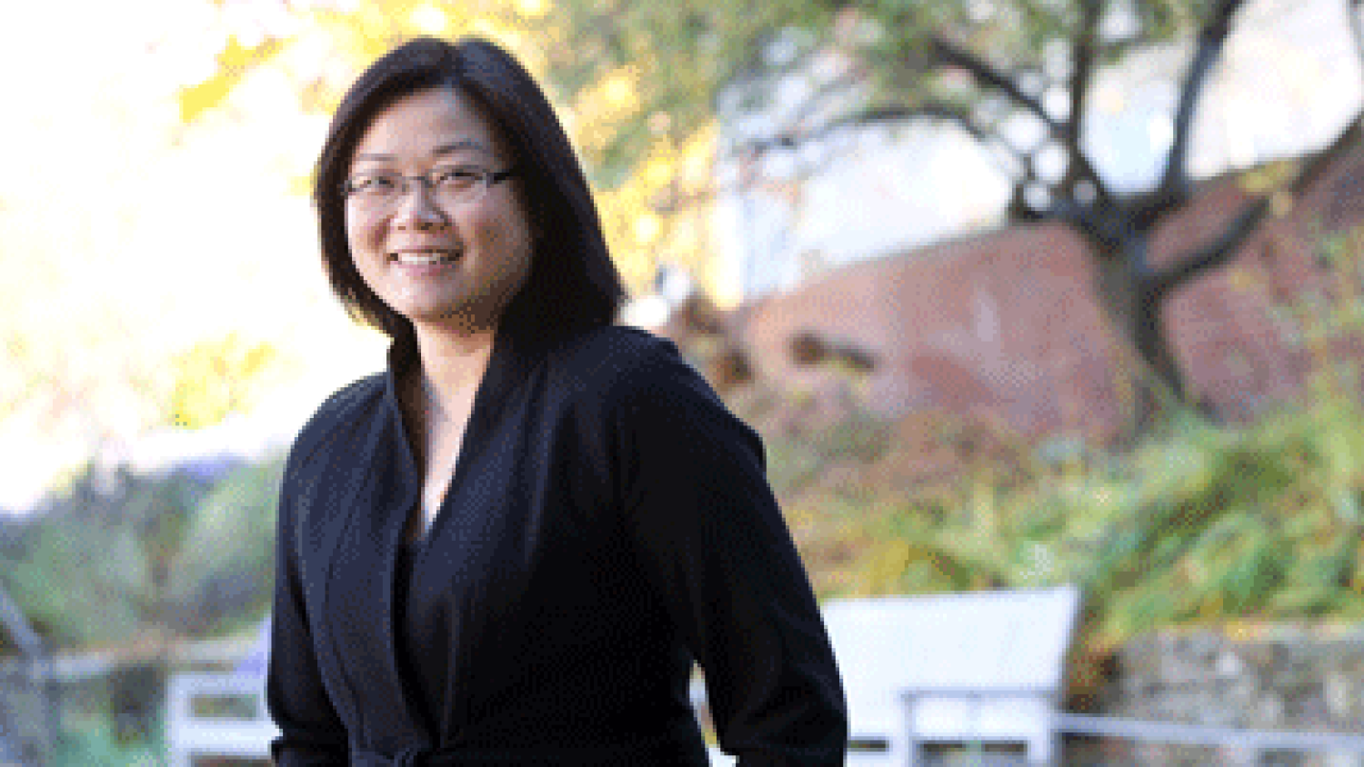 The Making of Associate Professor Gigi Luk | Harvard Graduate School of ...