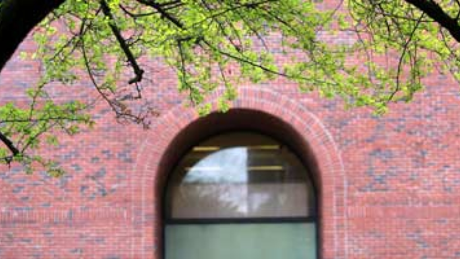 Harvard EdCast: Harvard Meets the Homeless | Harvard Graduate School of ...