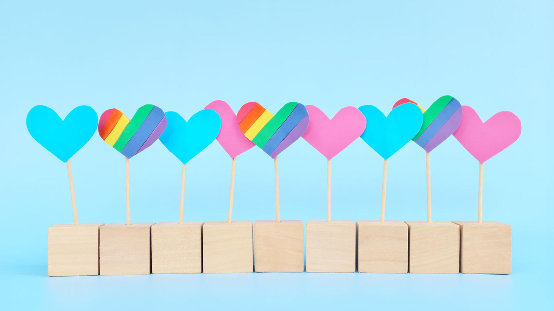 Creating Trans-Inclusive Schools | Harvard Graduate School of Education