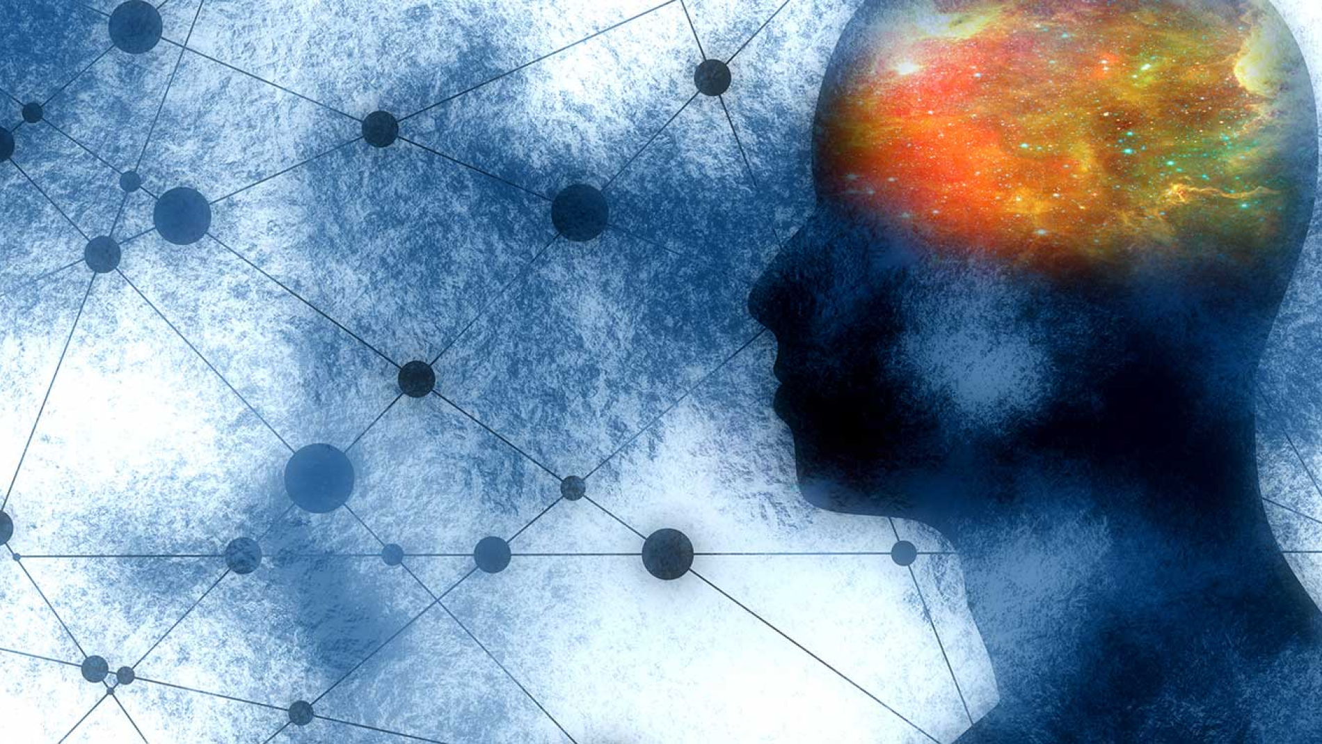 Understanding the Toll of Toxic Stress | Harvard Graduate School of ...