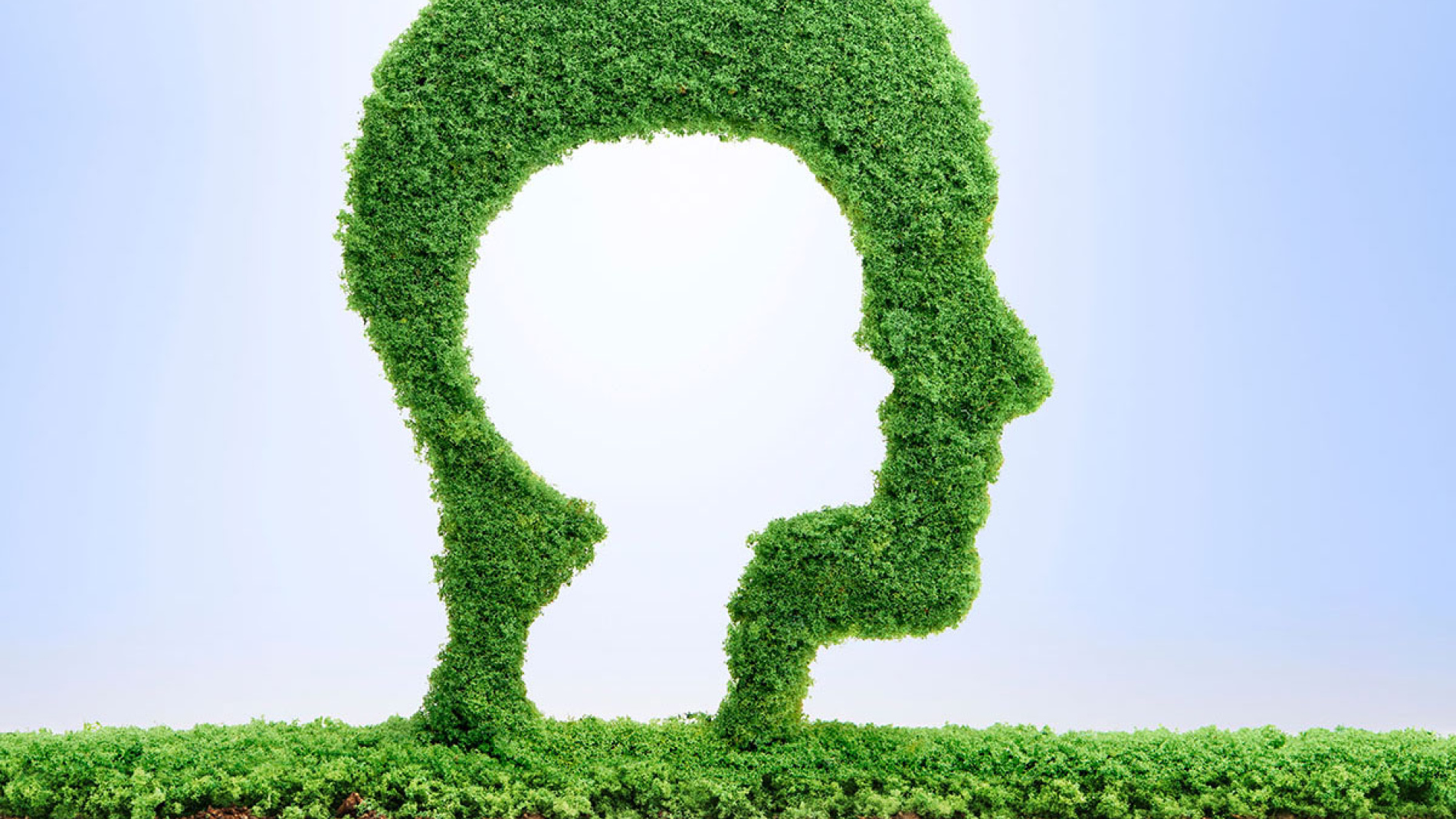 Leading the Learning on Human Development | Harvard Graduate School of ...