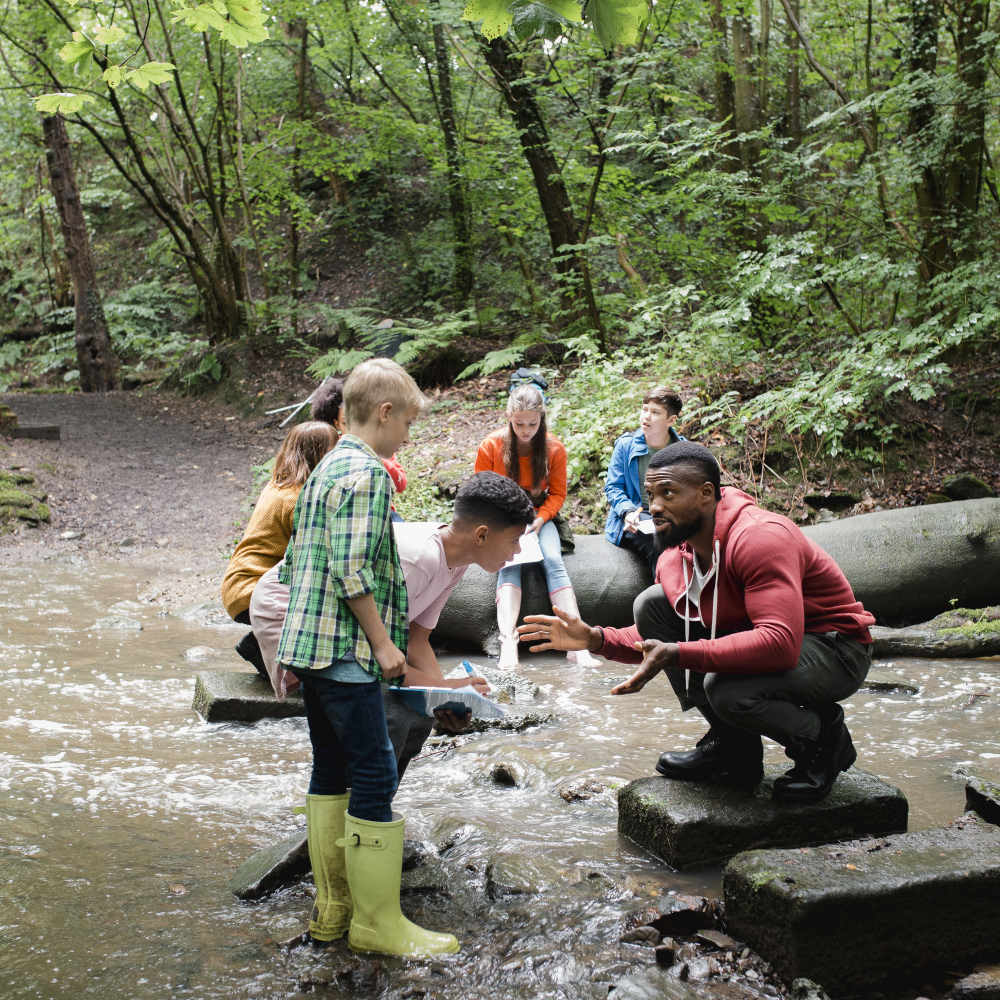 Differentiated Instruction Made Practical | Harvard Graduate School of ...