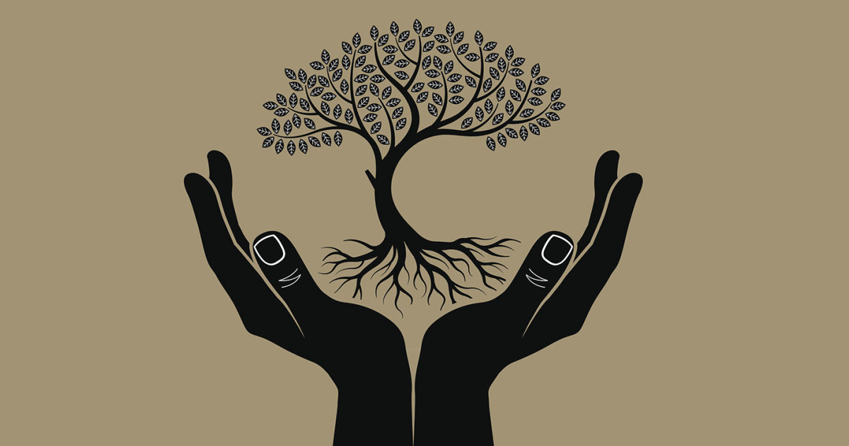 The Power of Teachers to Transform | Harvard Graduate School of Education