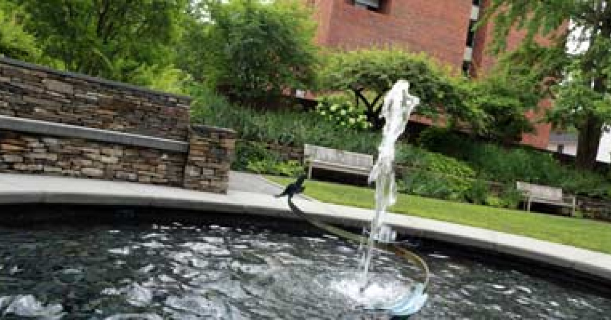 Connect Ed | Harvard Graduate School of Education