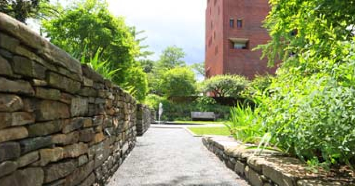 Drawing Rules to Get the Drawing Mind Launched | Harvard Graduate ...